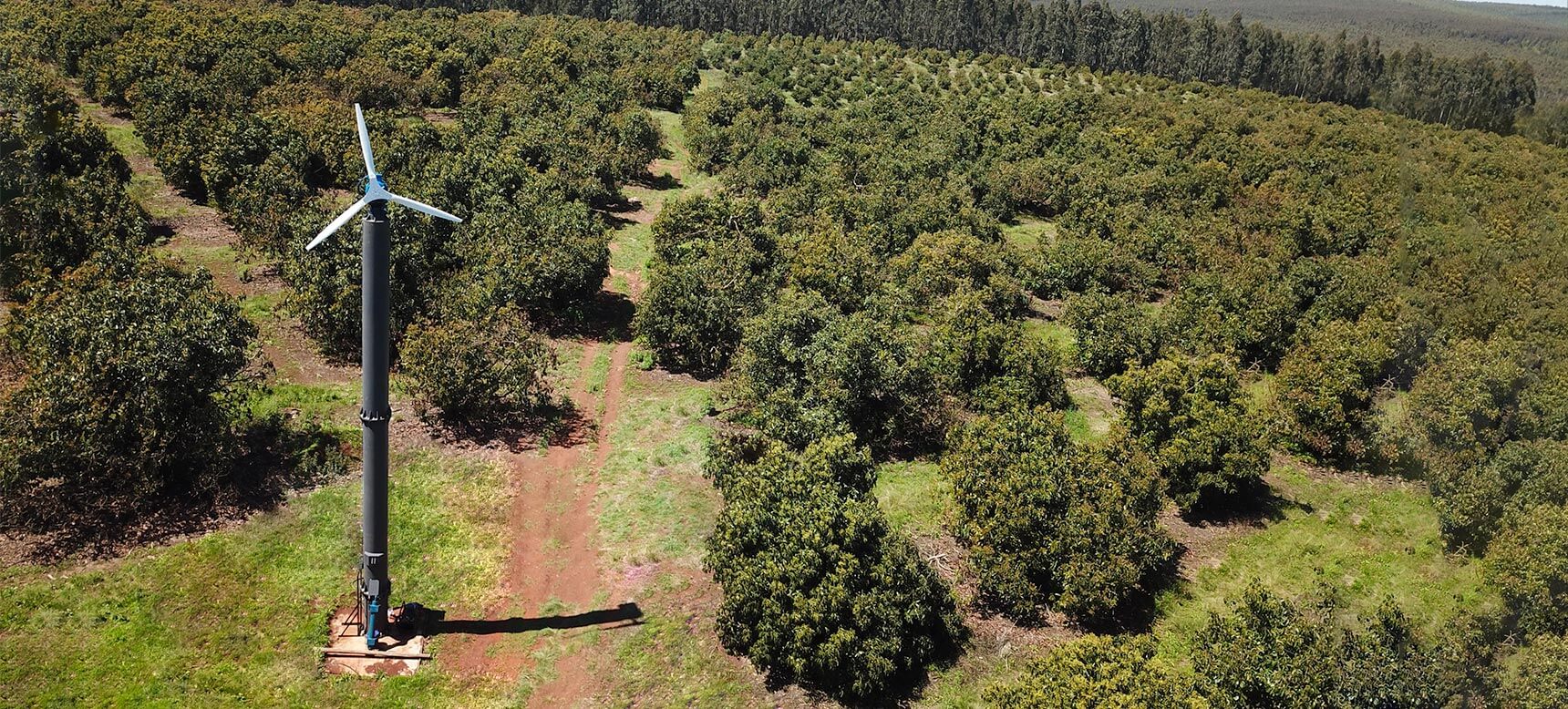 The Role of Stationary and Mobile Frost Fans in Agriculture | Orchard Fans